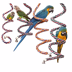 Parrot Rope Boing - Spiral Rope Swing (Medium)