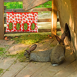 AYAWOW Large Rabbit Hay Bag Guinea Pig Feeder, 18.3x11.6 Inch, 4 Holes, Nylon Material, Suitable for Multiple Pets