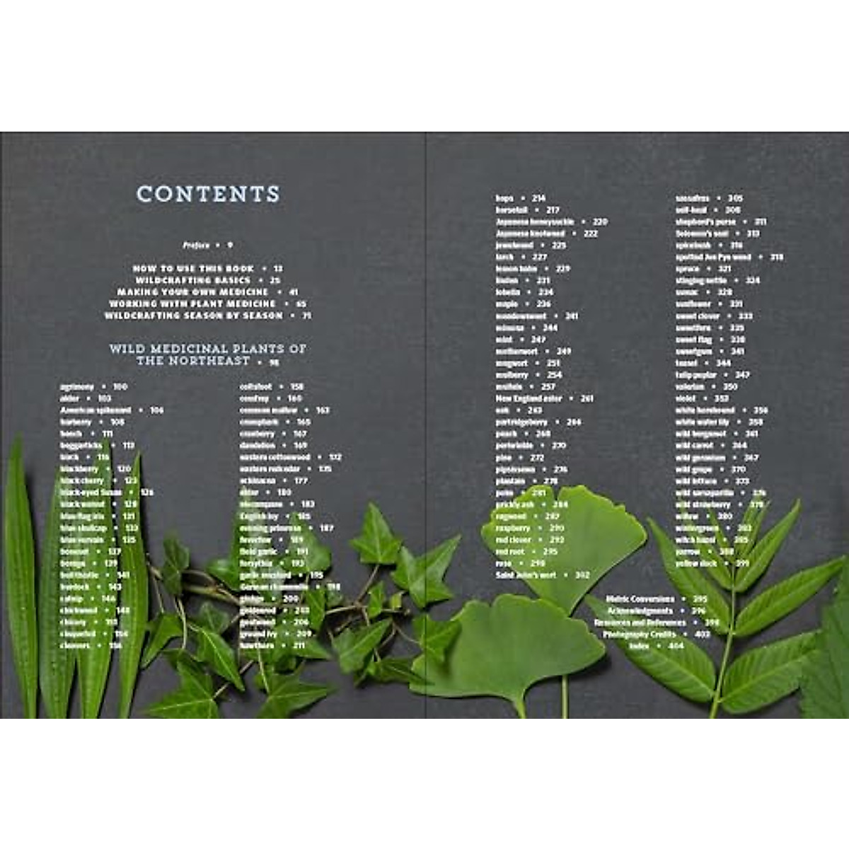 Northeast Medicinal Plants: Identify, Harvest, and Use 111 Wild Herbs for Health and Wellness (Medicinal Plants Series)