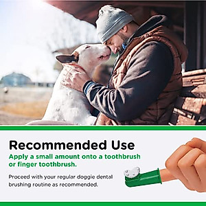 Nutri-Vet Dental Hygiene Kit for Dogs | Finger Toothbrush and Enzymatic Toothpaste | Chicken Flavor |2.5 ounces