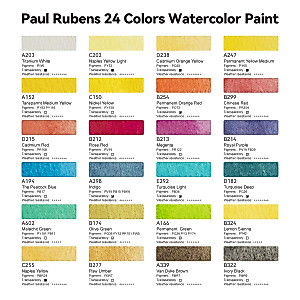 Paul Rubens Watercolor Paint Set Artist Grade, 24 Vivid Colors with Portable Metal Box for Artists, Beginners, Hobbyists, Students-Set B
