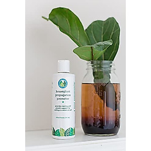 Houseplant Propagation Promoter & Rooting Hormone, Root Stimulator, Plant Starter Solution for Growing New Plants from Cuttings (Formulated for Fiddle Leaf Fig or Ficus Lyrata)