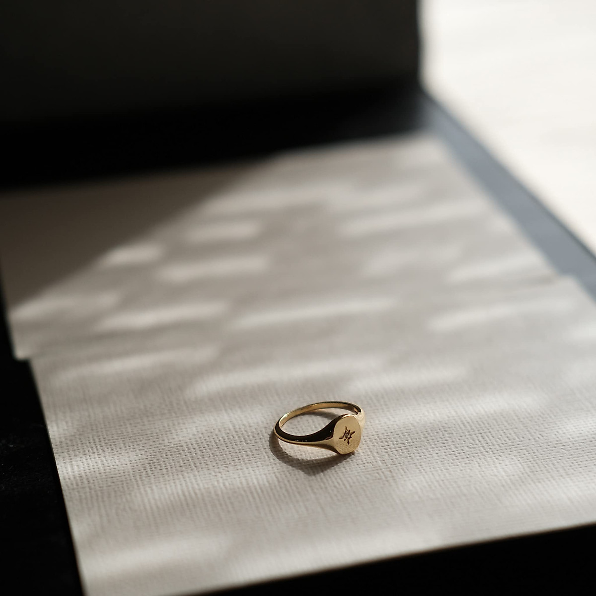 BLOSSOM & HUE Womens Signet Ring | Star Set North Star Polaris | Thin Band Statement - Ring 18K Gold Plated | Size 8 |