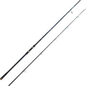 BERRYPRO Surf Spinning Rod Full Carbon Surf Fishing Rod with Fuji Guide (9'/10'/11'/12') (11'-Spinning-2pc)