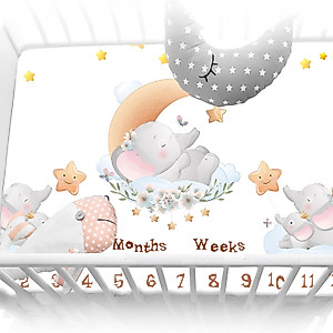 QICAIYUN Baby Milestone Monthly Blanket Elephant Desgin Twins Baby Month Blanket First Year Calendar Growth Chart Play Mat Large 60" x40'' Baby Photography Props YUNBTZT042