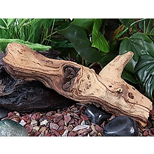 Fluval Mopani Driftwood, Aquarium Decoration, Small, 11817A1
