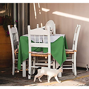 YLZYAA Tablecloth - 54 x 54 Inch -Green-Square Polyester Table Cloth, Wrinkle,Stain Resistant - Great for Buffet Table, Parties, Holiday Dinner & More