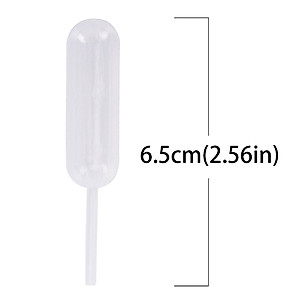 LanMa 100pcs Cupcakes Pipettes 4mL Plastic Pipettes Squeeze Transfer Pipettes for Strawberries Chocolate Ice Cream Mini Dropper