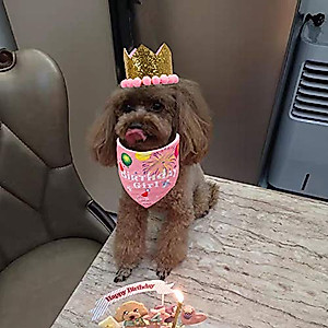 ADOGGYGO Dog Birthday Bandana Hat Set Dog Puppy Birthday Party Supply Dog Bandana Boy Girl Puppy Birthday Hat Scarf for Small Medium Dog Pet (Pink Scarf & Crown)