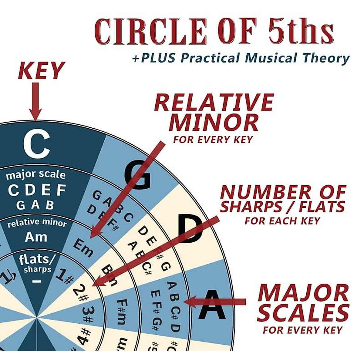 Laminated Viola Fingerboard Note Instructional Chart - Poster includes Circle of 5ths & Nashville Numbering System 11x17 | A New Song Music