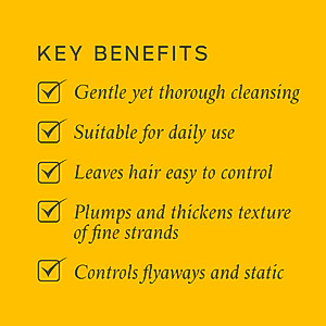 PHILIP KINGSLEY Body Building Volumizing Shampoo for Fine Hair, Women and Men, with Keratin, Volumizer Thickening Volume Hair Products, 8.5 oz