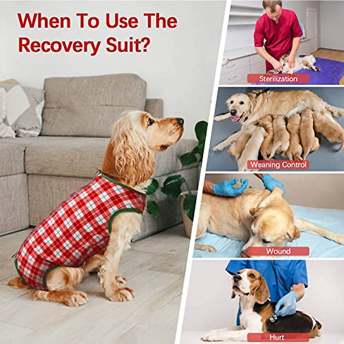 IDOMIK Recovery Suit for Dogs, Dog Onesie Surgery Recovery Shirt Abdominal Wound Surgical Clothes Post-Operative Vest Pet Surgery Wear, E-Collar Cone Alternative for Female Male