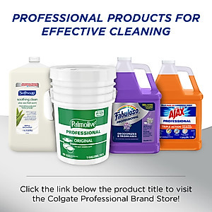 Softsoap Liquid Hand Soap Refill, Soothing Clean, Aloe Vera Fresh Scent - 1 gallon, Pack of 4