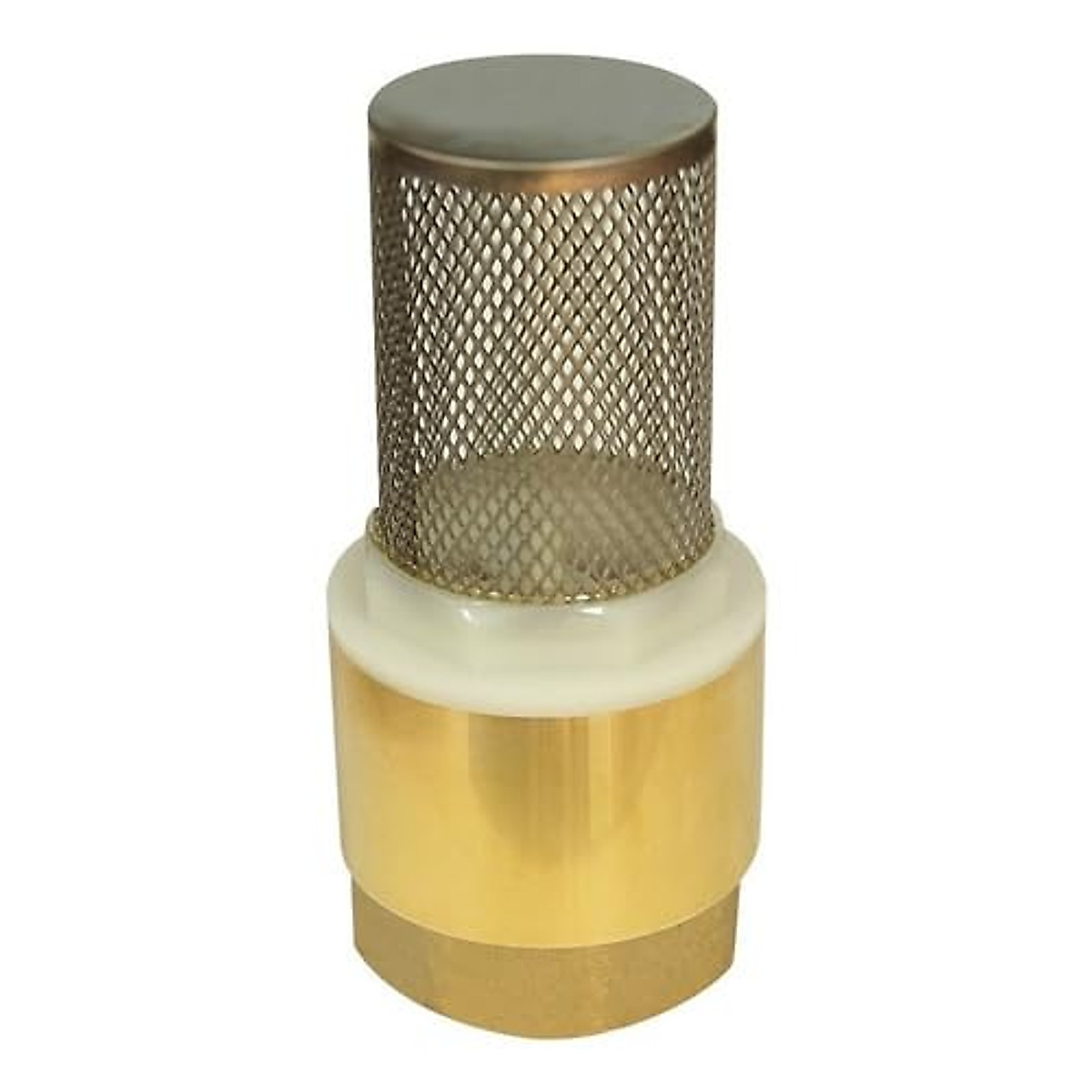 Fleximatic 4558 Brass Pichancha 1", Stainless Steel Filter