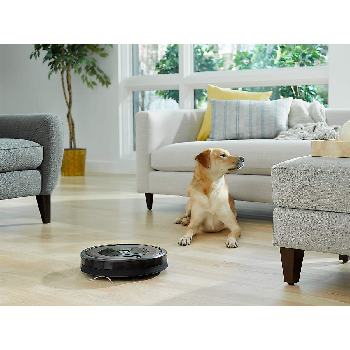 iRobot Roomba 890 Robot Vacuum- Wi-Fi Connected, Works with Alexa, Ideal for Pet Hair, Carpets, Hard Floors
