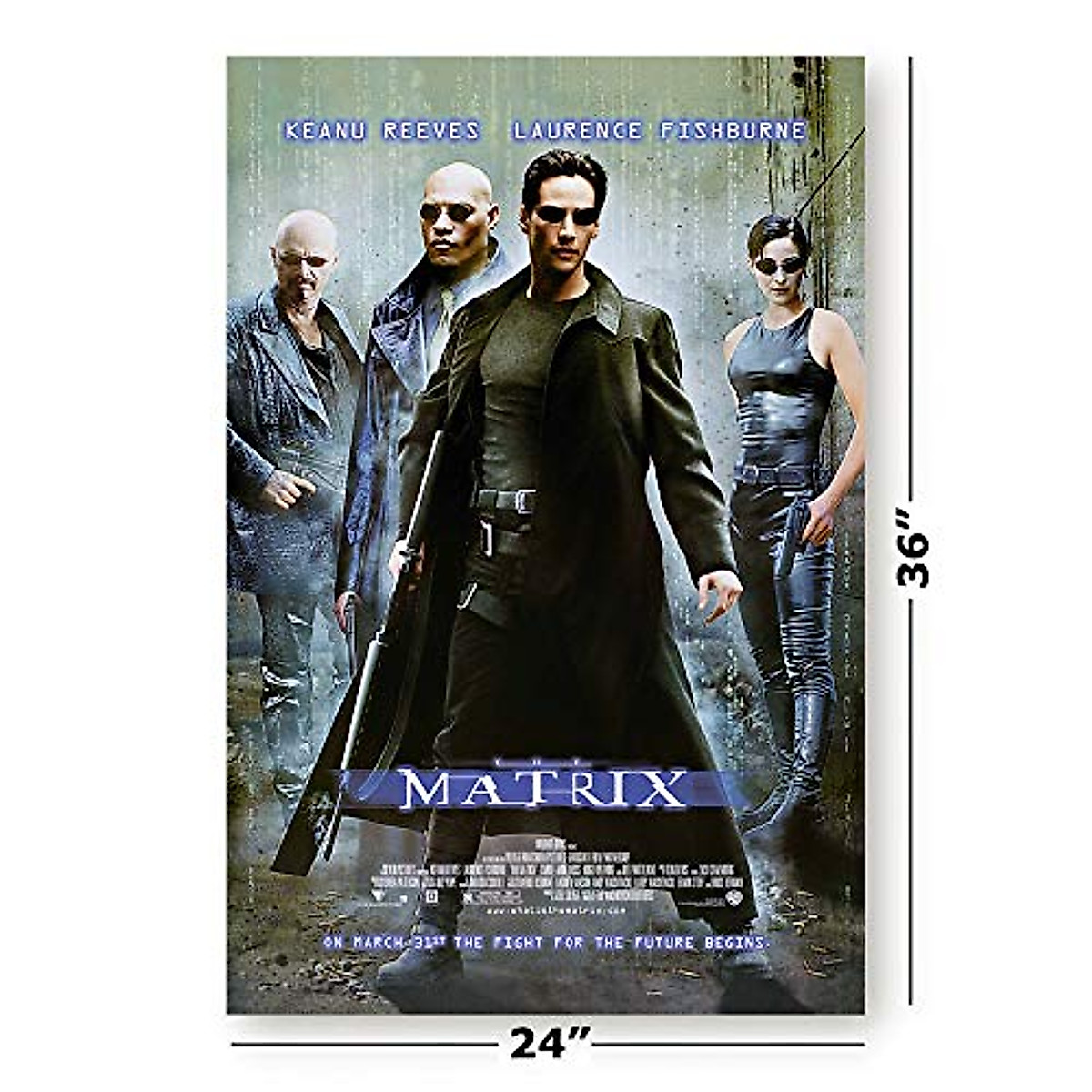 Movie Poster The Matrix (Regular Style) (Size: 24 x 36 inches)