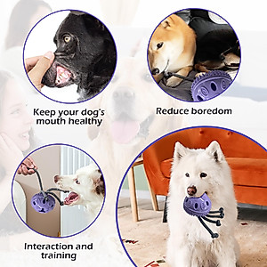 3-in-1 Dog Toy, Floating Dog Toy,Dog Water Toy for Pool & Beach, Dog Chew Teeth Cleaning Toy for Aggressive Chewers,Natural Jellyfish Leaky Food Toy for Large Medium Small Dog (2 Pack)