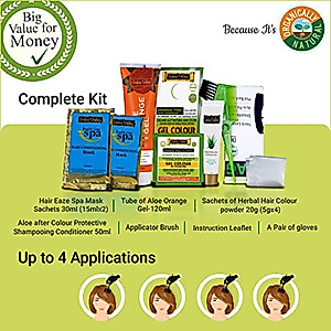 Indus Valley Natural Organic Damage Free Permanent Gel Hair Color, Ammonia Free, Vegan, Cruelty Free, Up to 100% Gray Coverage |Doctor Recommended| Bio Natural Certified- Black 1.0 (20gram+200ml) Pack of 1