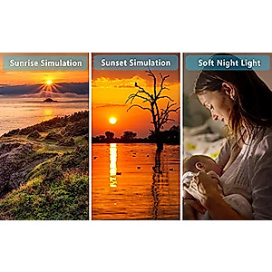 Wake Up Light Sunrise Alarm Clock for Kids, Heavy Sleepers, Bedroom, with Sunrise Simulation, Sleep Aid, Dual Alarms, FM Radio, Snooze, Nightlight, Daylight, 7 Colors, 7 Natural Sounds, Ideal for Gift