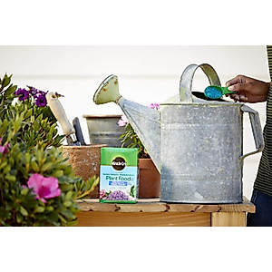 MIRACLE GRO ACID 1.5#