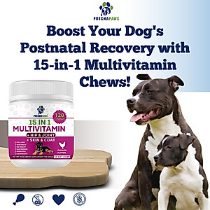 Dog Multivitamin with Vitamin C and E for Skin & Coat + Immune Health - 120ct - Glucosamine Chondroitin for Hip and Joint Support - Probiotics for Healthy Gut Flora - Postnatal Support