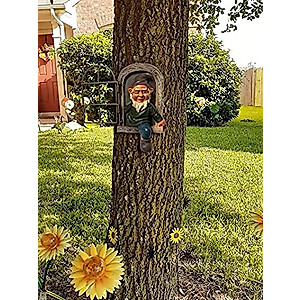 INNOLITES Elf Out The Door Tree Hugger Garden Gnome Statue, Garden Peeker Yard Art unimaginable Tree Sculpture Garden Decoration(Garden Gnomes)(Garden gnome A)