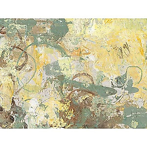 ArtDirect - OToole, Tim 18x15 Black Modern Framed Art Print Titled: Slingshot II