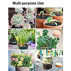 Sphagnum Peat Moss, Natural Bonsai Potting Mix, Succulent and Cactus Potting Soil, Organic Garden Growing Soil Amendment and Media, for Flowers, Vegetables, Herbs, Orchid, Indoor Houseplant, 3qt