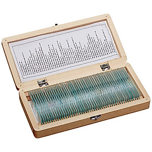 AmScope PS50A Prepared Microscope Slide Set for Basic Biological Science Education, 50 Biology and Pathology Slides, Includes Fitted Wooden Case