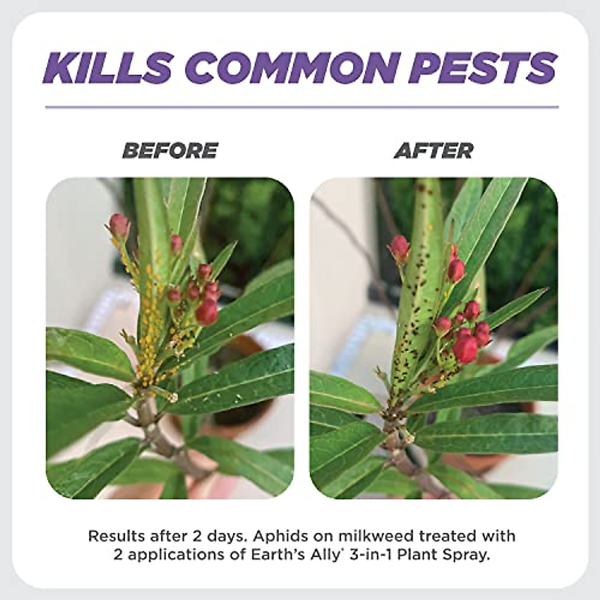 Earth's Ally 3-in-1 Plant Spray 8 oz Conc. Makes 6 gal | Better Than Neem Oil | Insecticide, Fungicide & Spider Mite Control for Organic Gardening, Pest Repellent for Indoor & Outdoor Gardening