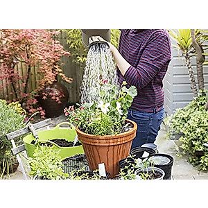 1.5 Gallon Watering Can for Outdoor & Indoor Plants, Large Garden Watering Pot with Lightweight and 5.5L Capacity, Plastic Watering Can with Long Spout and Metal Removable Sprinkler Head, Grey