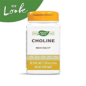 Nature's Way Choline, 500 mg, 100 Tablets, Pack of 2