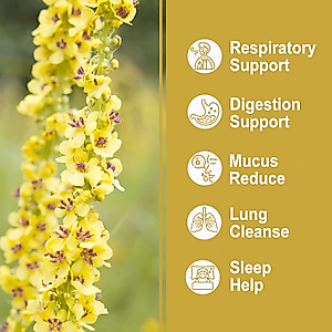 Olvvla - Mullein Tea Bags For Lungs - 3g X 30 Count - 100% Natural Mullein Leaf Tea - Lung Cleanse Herbal Tea - Non-GMO - Caffeine-free - Help Soothe & Relax