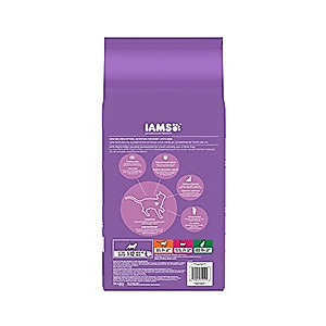 Iams Proactive Health Healthy Kitten Dry Cat Food with Chicken, 7 lb. Bag