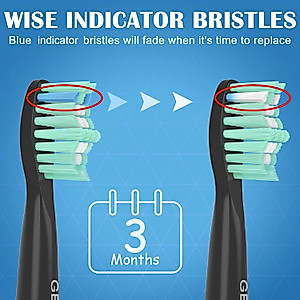 Toothbrush Heads for FairyWill, Replacement Brush Heads for Fairy Will, Electric Toothbrush Replacement Heads for Fairywill FW-507/508/551/515/917/959, FW-D1/D3/D7/D8, 10 Pack, Black