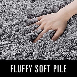 HOMORE Luxury Fluffy Area Rug for Bedroom Living Room Soft Carpets, Super Cute Comfortable Shag Rugs Modern Carpet for Kids Nursery Girls Home, 3x5 Feet Gray