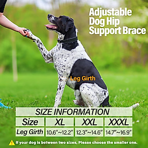 Dog Knee Brace with Side Stabilizers - Support for Dog ACL CCL Cruciate Ligament Injury Joint Pain and Muscle Sore（Size XXL