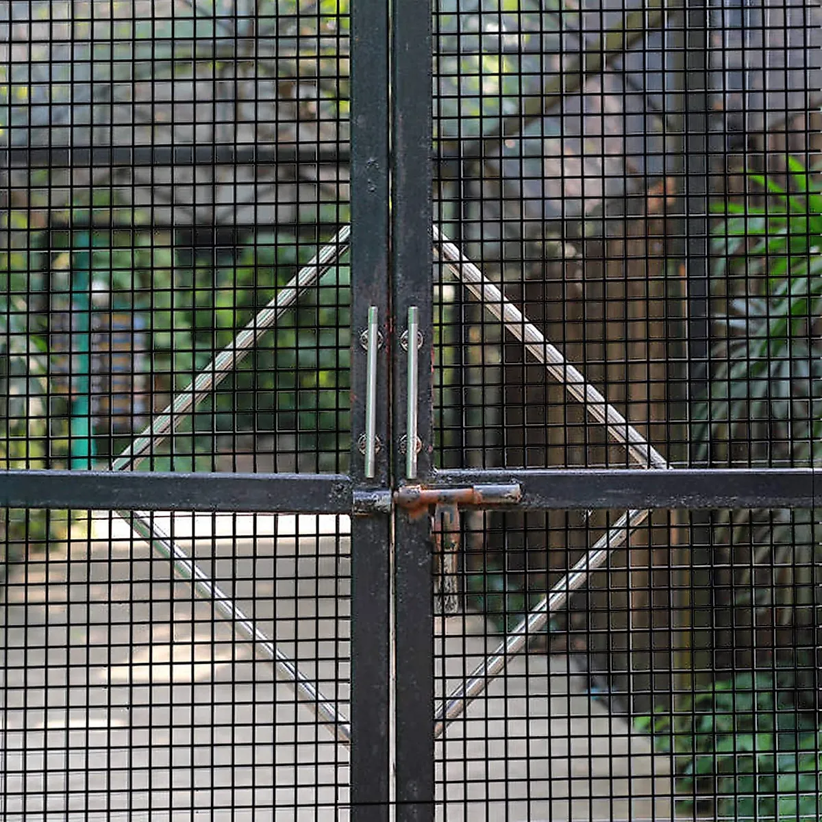 36'' x 50' 1inch Hardware Cloth 16 Gauge Black Vinyl Coated Welded Fence Mesh for Home and Garden Fence and Home Improvement Project (36'' x 50')