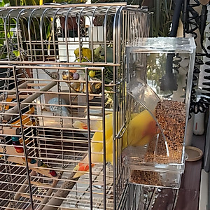 Baeluny No Mess Automatic Bird Feeders Transparent Parakeet Food Seed Feeders Acrylic Parrot Food Container Accessories Suitable for Parrot Cockatoo Canary Lovebird and Small Birds