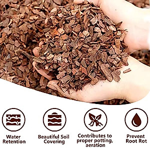 Legigo 2 Quarts Organic Orchid Potting Bark- All Natural Orchid Bark Potting Mix Pine Bark Wood Chips for Houseplant Mulch, Orchid Plants Root Development, Mulch for Potted Plants