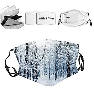 VeJerKK Winter Reusable Face Masks with adjustment Earloop,Idyllic Early Morning Scenery,Protection 5-ply Breathable Face Masks for women men,Black White Slate Blue