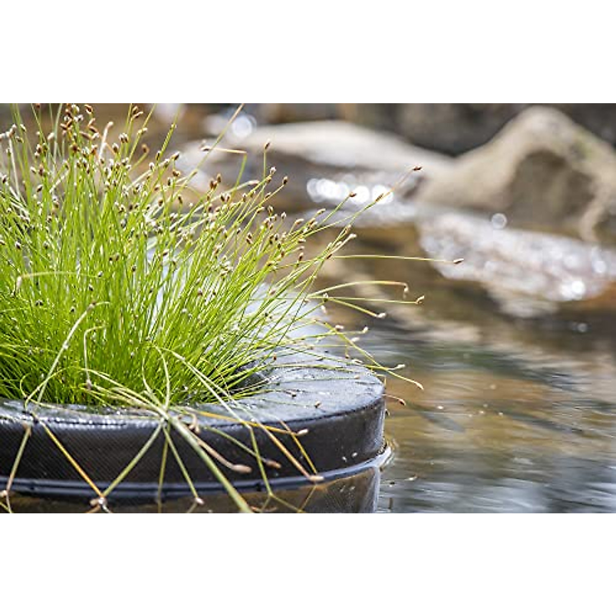 PondH2o 14" Round Floating Aquatic Water Garden Pond Planter Baskets, Floatable Aquatic Plant Flower Islands for Ponds and Water Features | Value 2 Pack