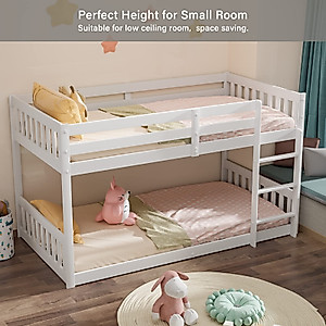 JOYMOR Solid Wood Low Twin Over Twin Bunk Bed for Kids/Toddlers/Junior, Bunk Bed Frame with Guardrails & Ladder for Boys Girls, No Box Spring Needed, White