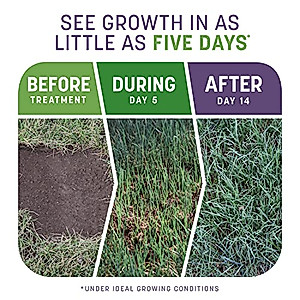 Pennington Smart Patch Dense Shade Mix Jug 5 lb