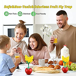 Fruit Fly Trap for Indoors, Fly Catcher Gnat Trap Fruit Fly Killer with 12 Yellow Sticky Traps, Gnat Trap with Bait for Indoor Outdoor, Safe Non-Toxic Fly Trap for Home/Kitchen/Plant (2 Pack)
