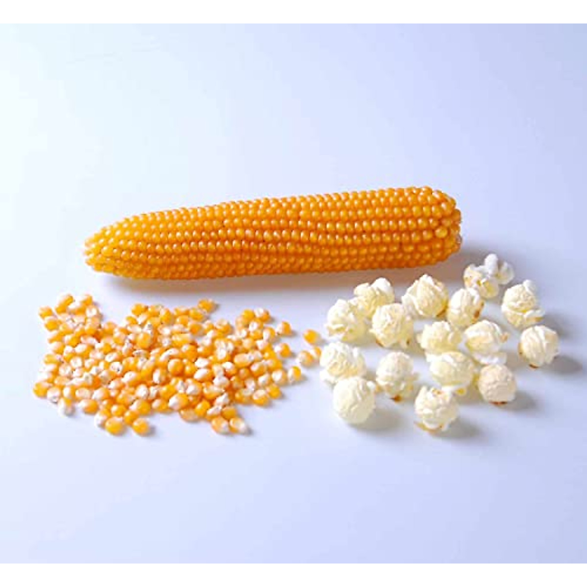 David's Garden Seeds Popcorn Mushroom (Yellow) 100 Non-GMO, Hybrid Seeds