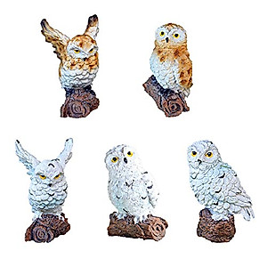 5 Pieces Owls Fairy Garden Miniature Ornaments Mini Animals Resin Figurines for Moss Landscape Bonsai Crafts Home Decor