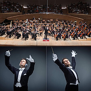 Music Band Conducting Baton Orchestra Baton Rosewood Handle Baton with Tube case(Rosewood Handle)