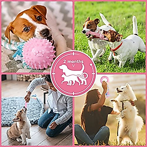 TENGZHI 6 Pack Dog Toys for Small Dog Pink Soft Rubber Puppy Toys for Teething Funny Slippers Ball Donut Interactive Set for Small Dog Teething Toys Pet Puppy Toys Set