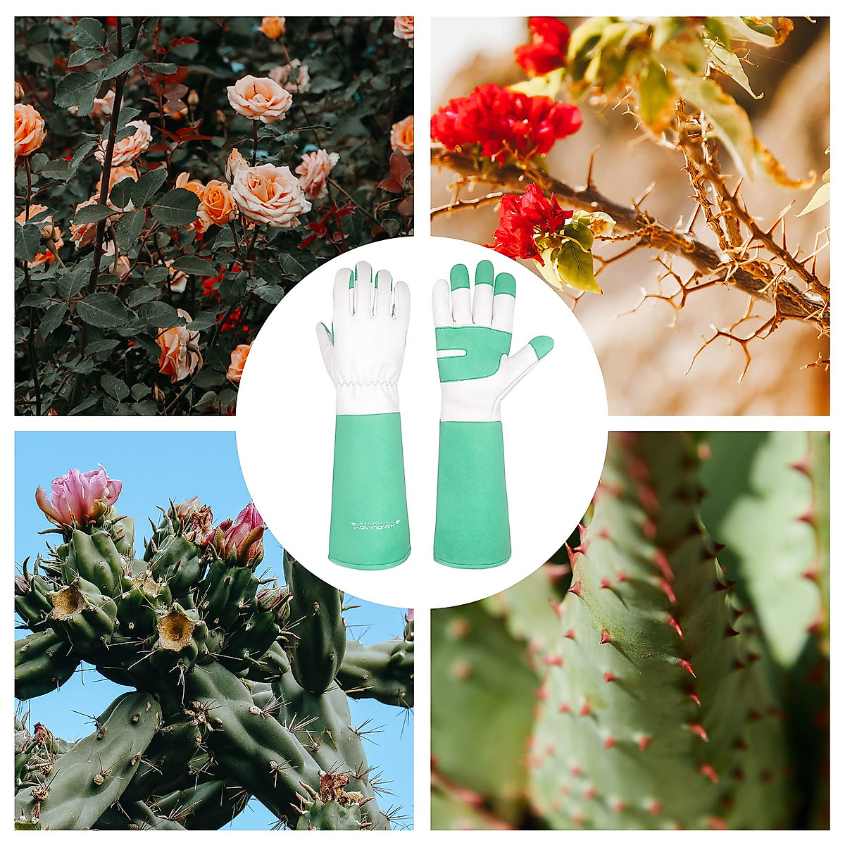 AIGEVTURE Rose Pruning Gloves Long Sleeve Thorn Proof,Rose Gardening Gloves for Men Women Long Gauntlet,Grain Cowhide Leather Green(Medium)